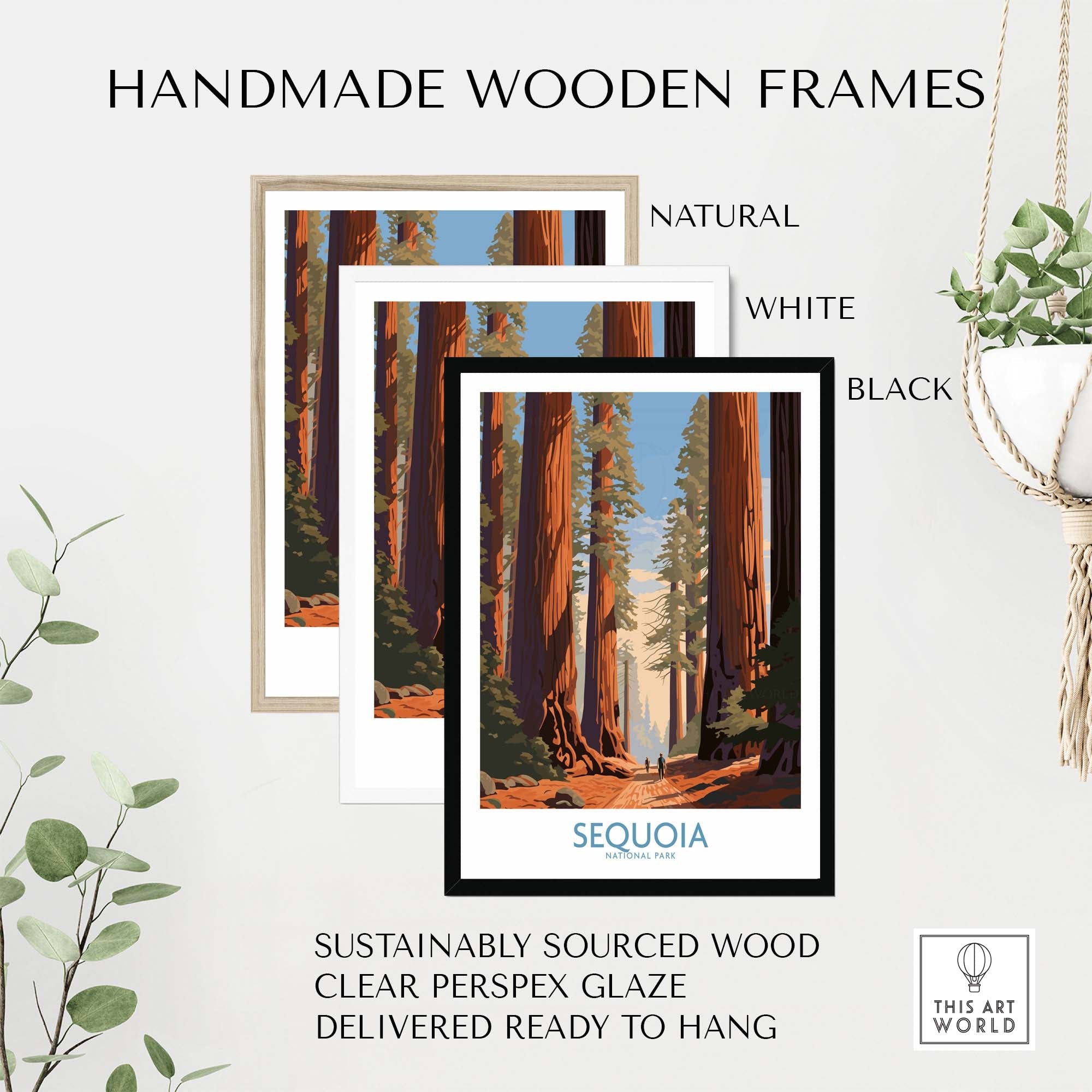 Sequoia Print | National Park exclusive at This Art World